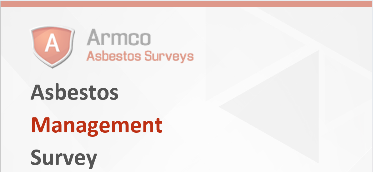 What a Real Asbestos Survey Report Should Look Like: Key Things to Look ...